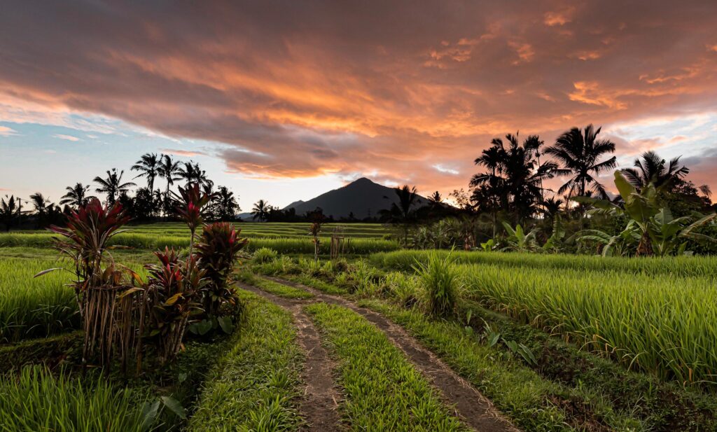 Sanda Plantation Hideaway - Retreat in authentic rural Bali